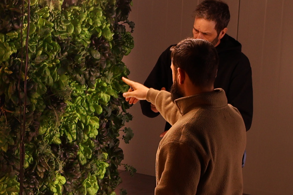 Indoor Farm Design, Installation & Maintenance | Just Vertical Commercial